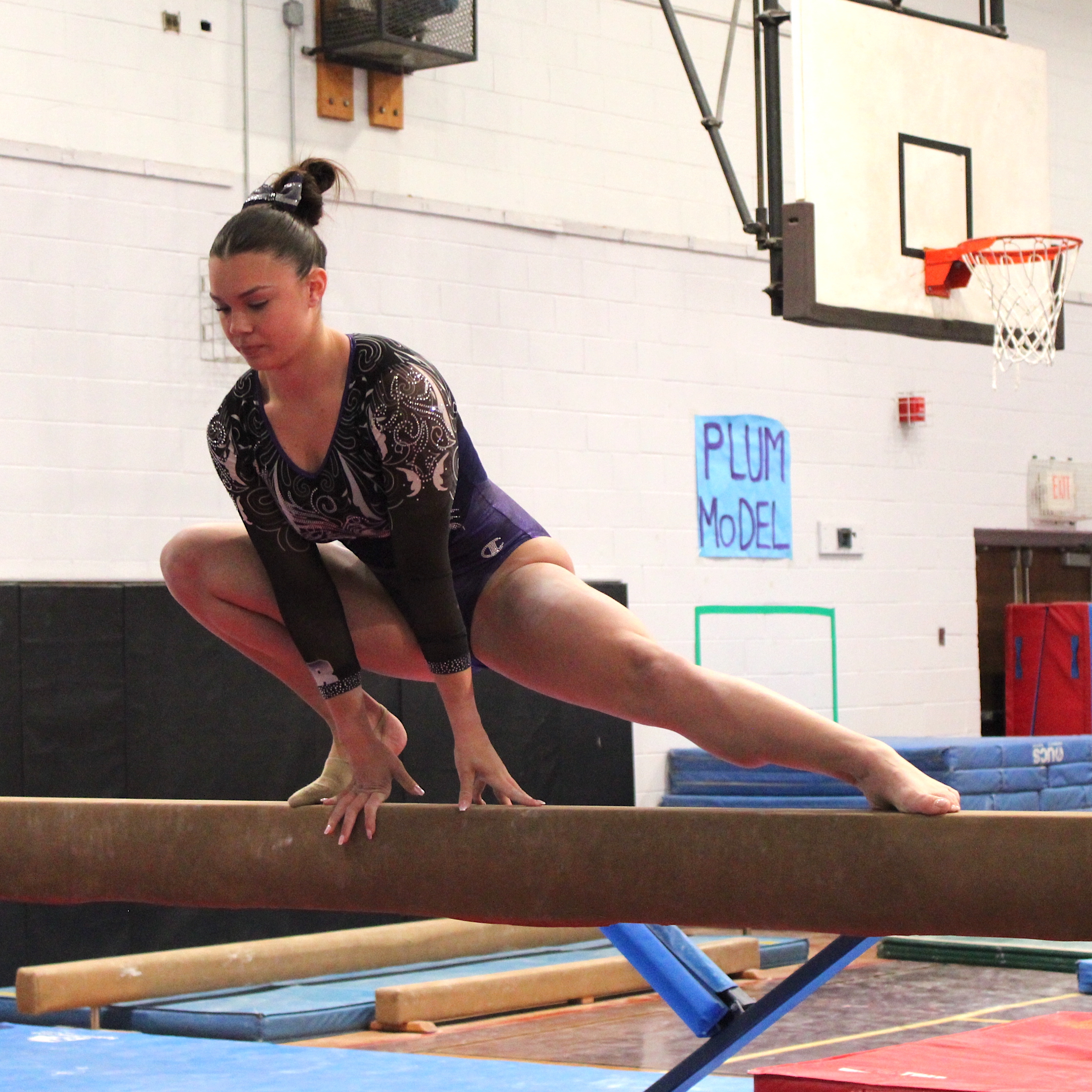 GMC Sportsmanship winners send six to Sectionals – Knight Life