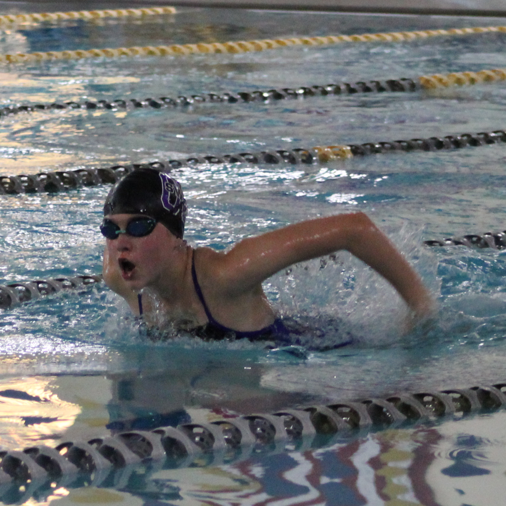 Winter Sports Preview: Swimming – Knight Life